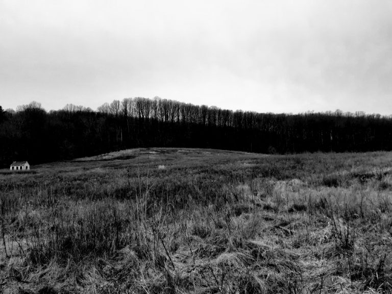 Biography – Ryan Wilson